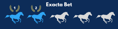 Horse Betting: What is an Exacta Bet & How To Calculate Payout