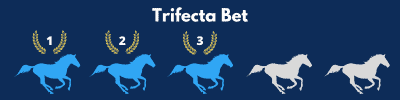 Horse Betting: What is a Trifecta Bet & How To Calculate Payout