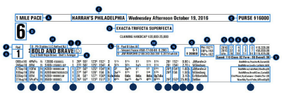 How To Read A Harness Racing Program | Standardbred Betting