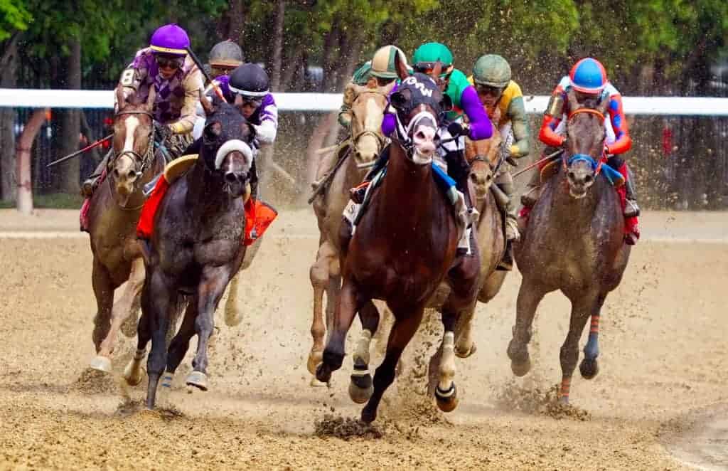 Amwager Race Track | Saratoga Race Course | AmWager | Online Horse Betting