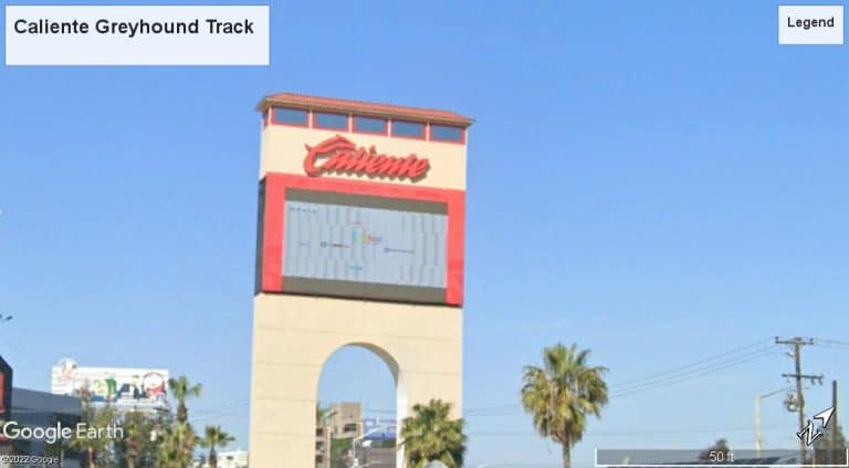 Caliente Greyhound Track | AmWager | Online Horse Betting